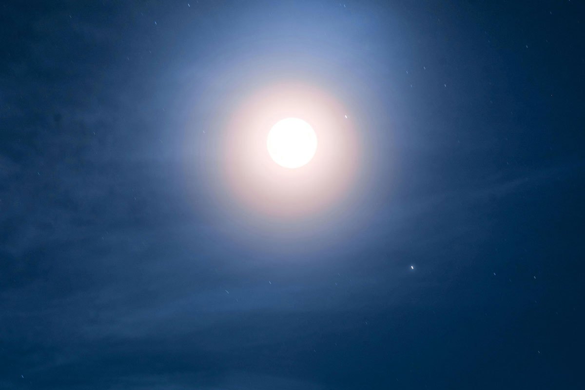 School Update May 6-10 | Thanks School Council, Trickster Theatre ...